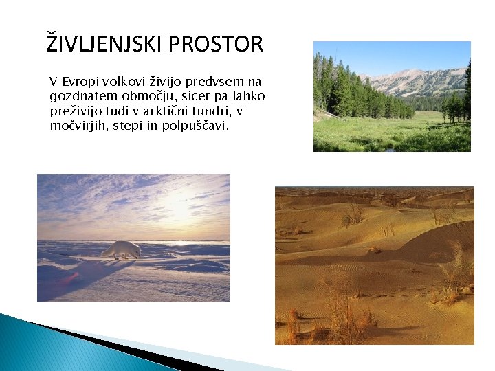 Volk Avtor Marua Novak Razred 4 b Mentor