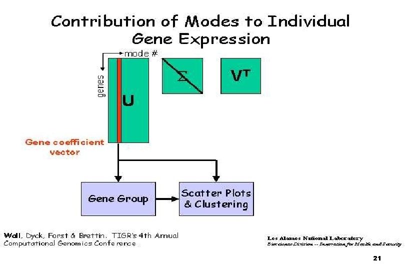 SVD Singular Value Decomposition Wolf Dan Outline n