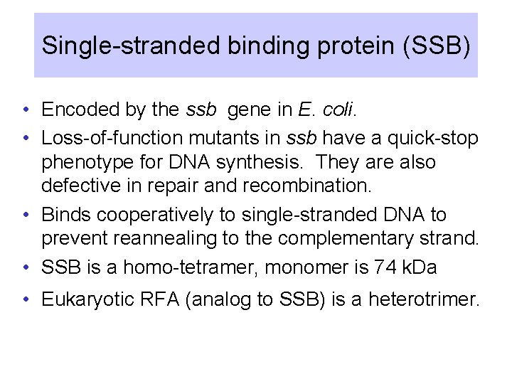 DNA polymerase III Enzyme used during replication Multisubunit