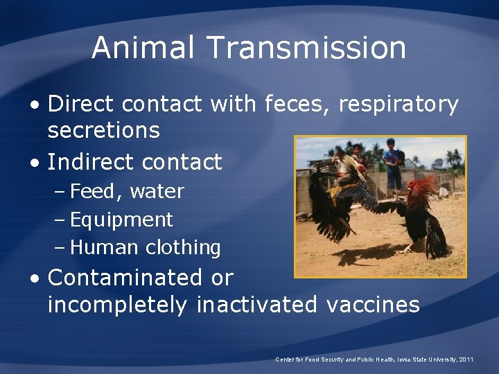 Newcastle Disease Exotic Newcastle Disease PseudoFowl Pest PseudovogelPest