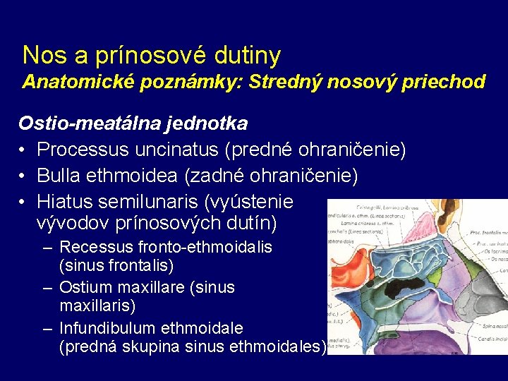 Choroby nosa a prnosovch dutn Prednky z otolaryngolgie