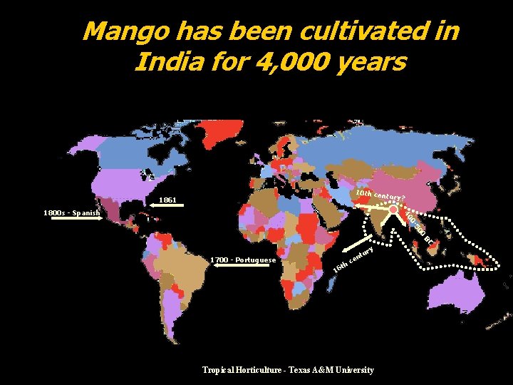 Mango Family Genus Species Anacardiaceae Mangifera indica Readings