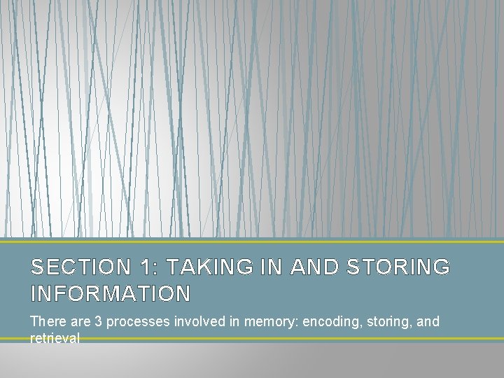 CHAPTER 10 MEMORY AND THOUGHT SECTION 1 TAKING