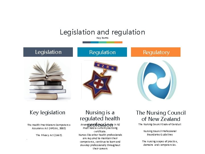 Professional support guides Presentation 2 The Support guides