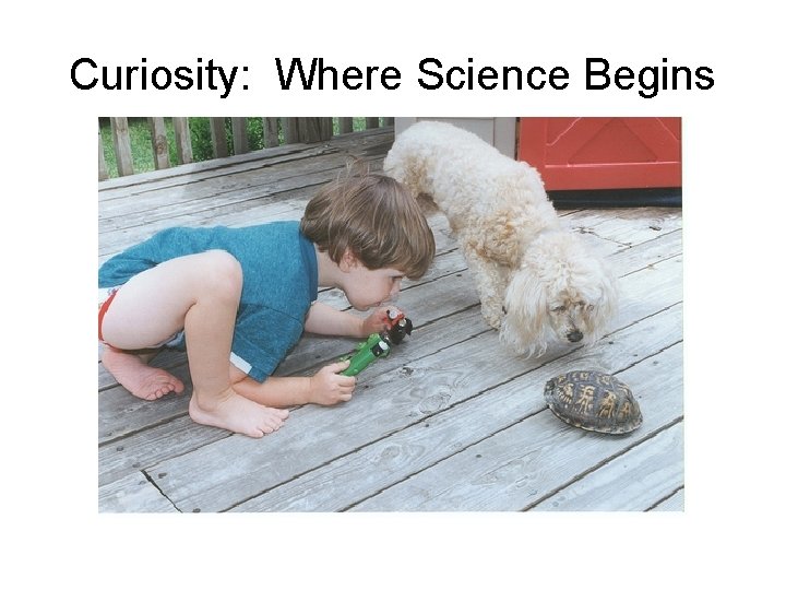 What is Science Chapter 1 1 Curiosity Where