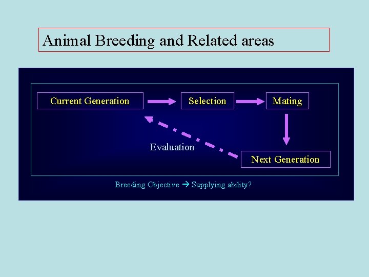 Multiple Ovulation and Embryo Transfer MOET Donor Female