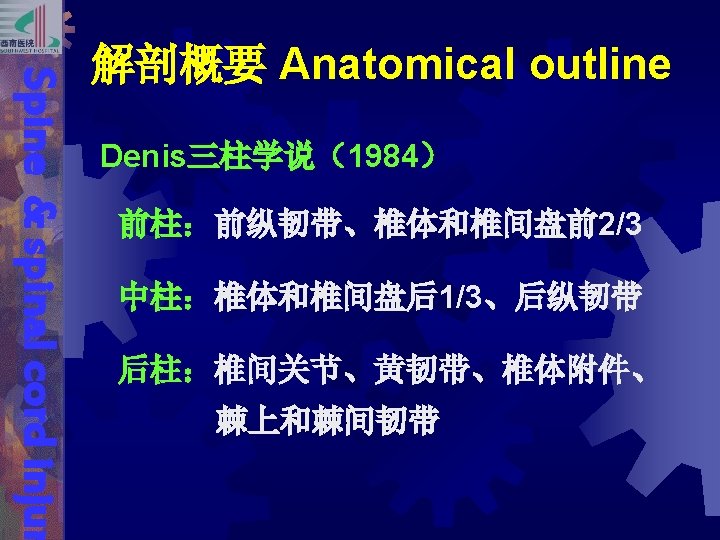 Spine spinal cord injur Spine spinal cord injury