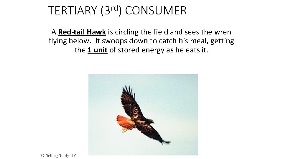 A Pyramid of Energy Objective to determine how