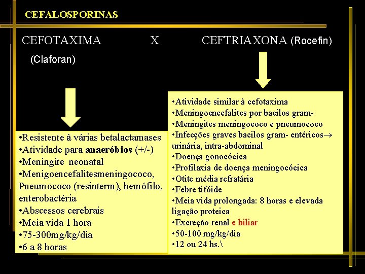 II CURSO DE ANTIMICROBIANOS NAS DOENAS INFECCIOSAS CEFALOSPORINAS