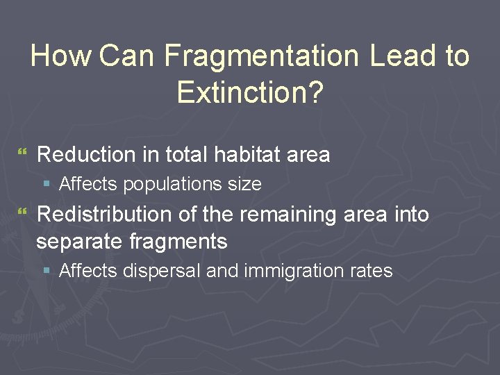 Habitat Fragmentation in the Temperate Zone D S