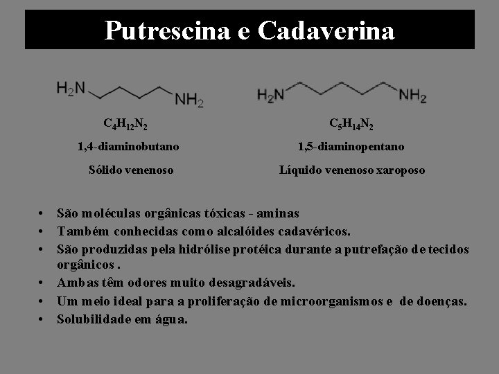 Cemitrios Sustentveis Prof Erica G B F Bortolotti