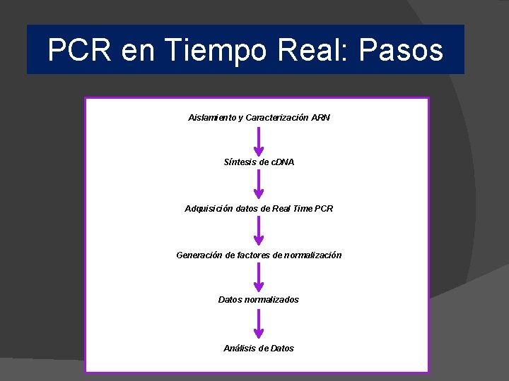 PCR en Tiempo Real Repasemos Reaccin en Cadena