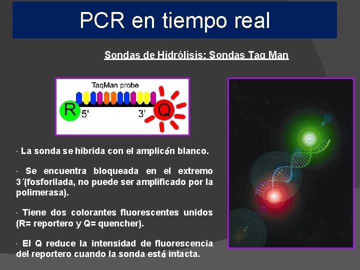 PCR en Tiempo Real Repasemos Reaccin en Cadena