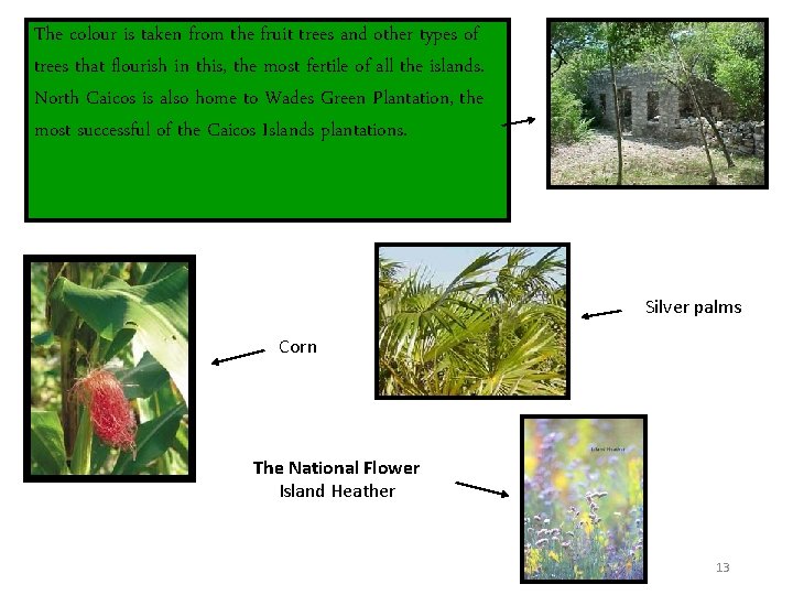 The National Colours of the Turks and Caicos