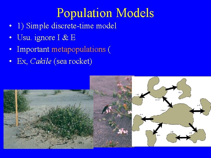 Ch 5 Population Structure and Changes Plants Special