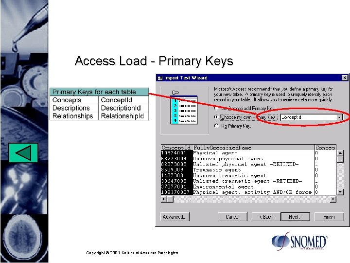 Presentation Objectives By the end of this presentation