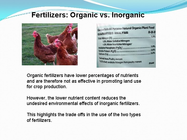 The Role of Fertilizers in Reducing Carbon Dioxide