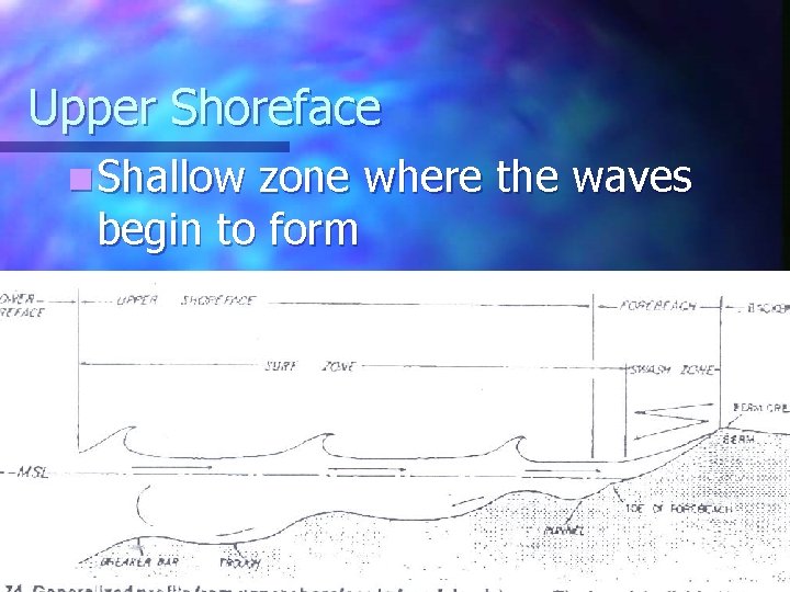 Marine Ecology Notes Importance of the Ocean Environment