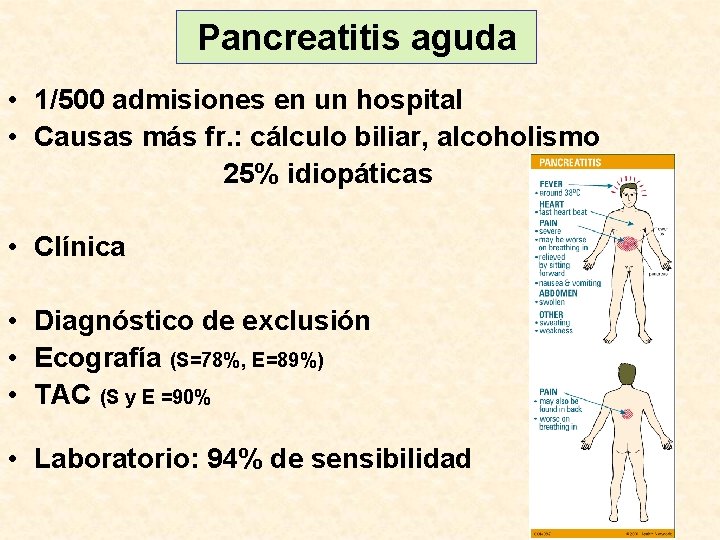 ESTUDIO DE LA FUNCION DEL PANCREAS EXOCRINO Funciones