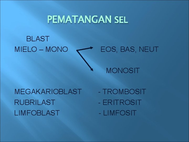 PEMERIKSAAN LABORATORIUM PADA LEUKEMIA AKUT BY dr RISMAWATI