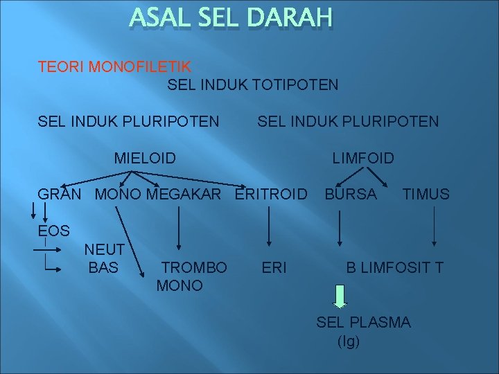PEMERIKSAAN LABORATORIUM PADA LEUKEMIA AKUT BY dr RISMAWATI
