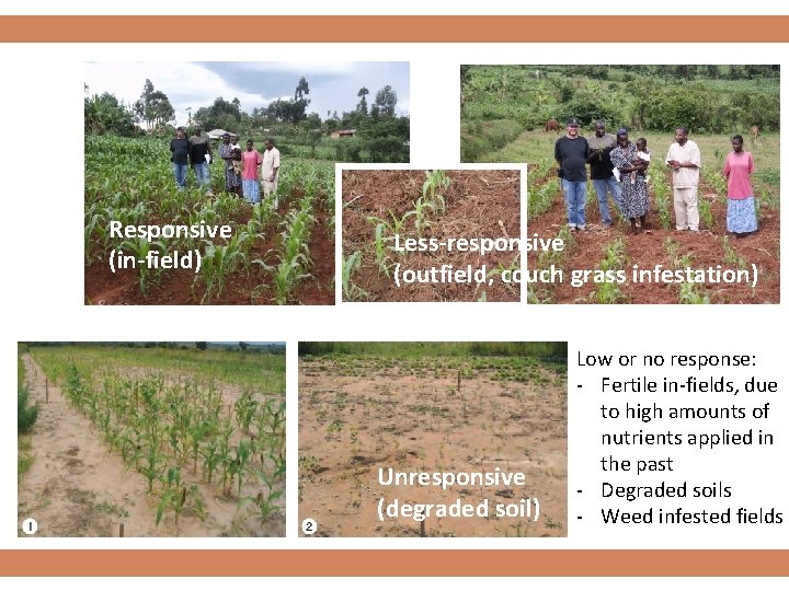 Principles of Integrated Soil Fertility Management ISFM Africa