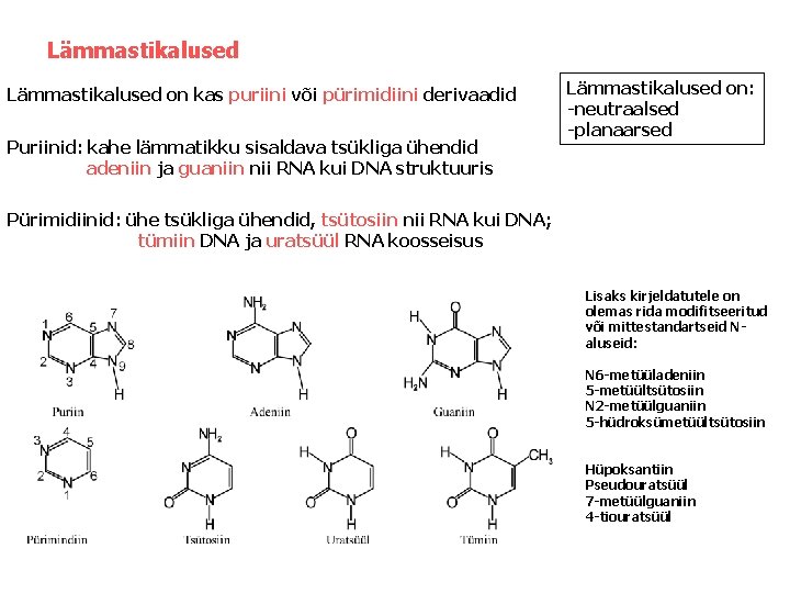 Loeng 12 Nukleiinhapped 1 2 3 4 5