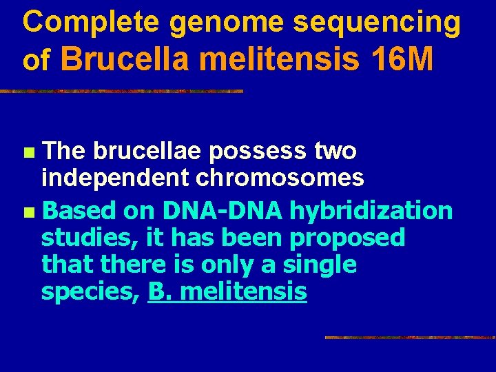 Brucellosis and immunity by Prof Dr Mohamed Refai