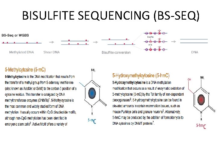 Sequencing Methods CAGE vs m RNASEQ Tru Seq