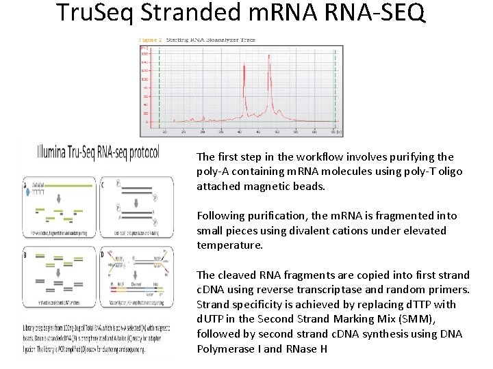 Sequencing Methods CAGE vs m RNASEQ Tru Seq