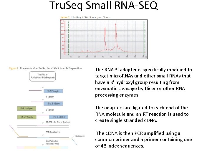 Sequencing Methods CAGE vs m RNASEQ Tru Seq