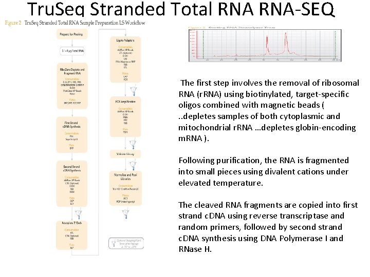 Sequencing Methods CAGE vs m RNASEQ Tru Seq