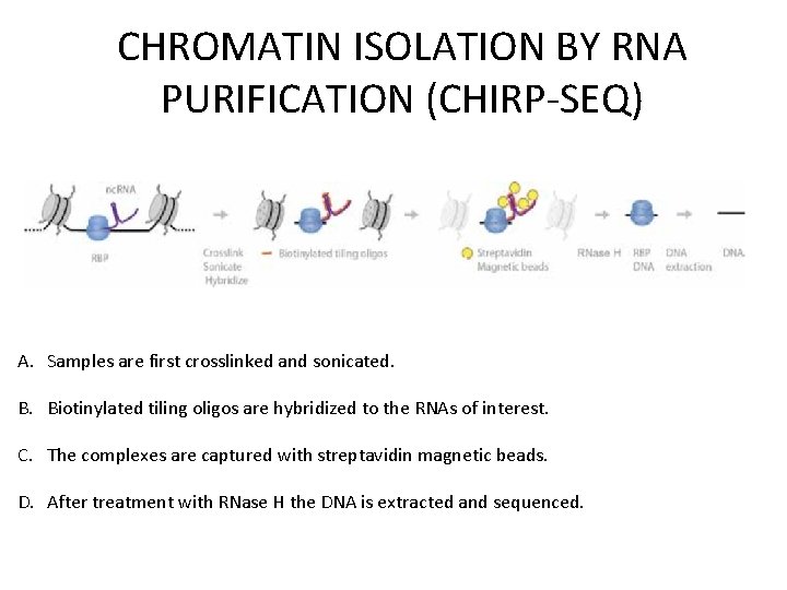 Sequencing Methods CAGE vs m RNASEQ Tru Seq