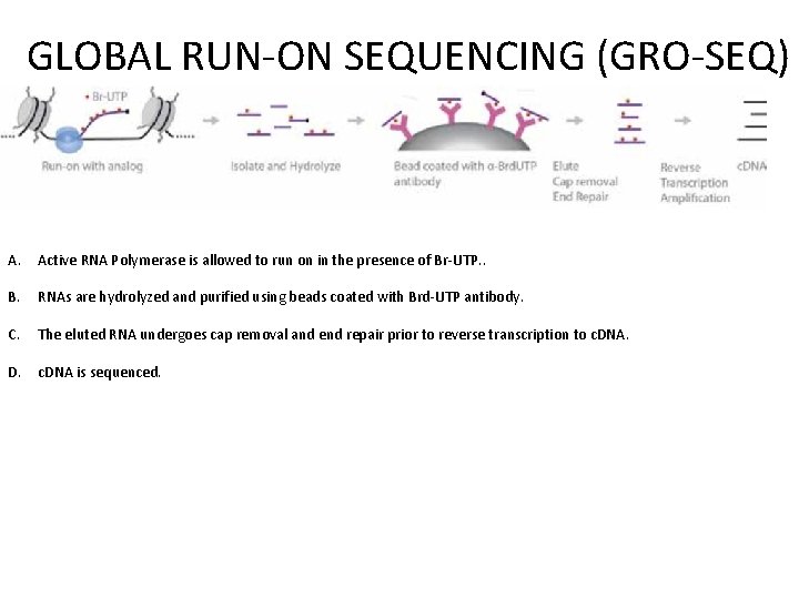 Sequencing Methods CAGE vs m RNASEQ Tru Seq