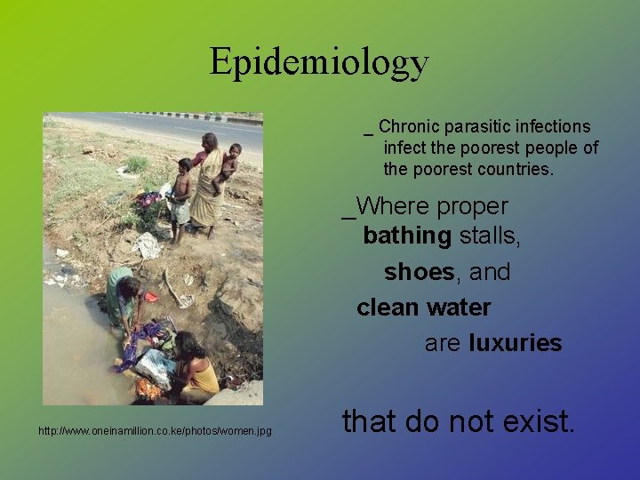 The Parasites of Poverty Cultural affects of Schistosomes