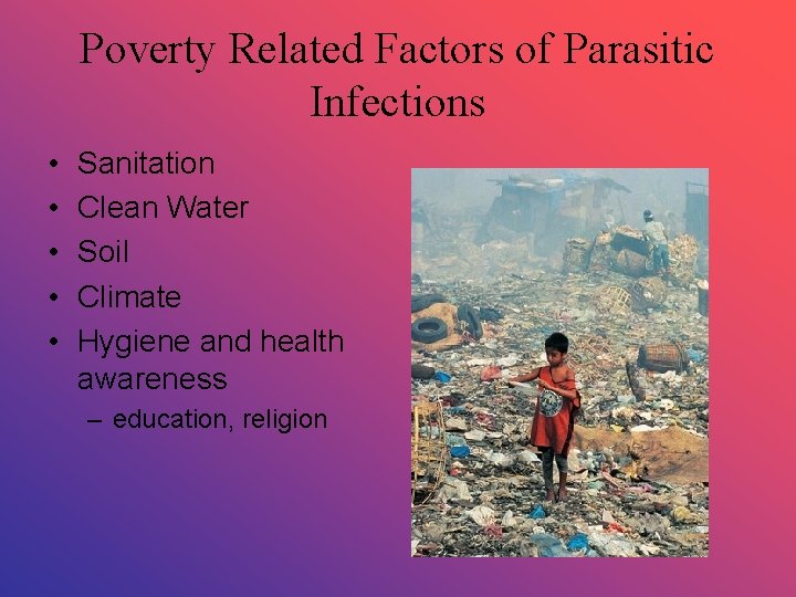 The Parasites of Poverty Cultural affects of Schistosomes