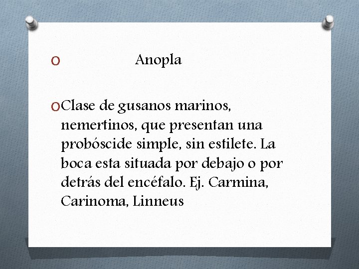 Subreino EUMETAZOOS Phylum Nemertinos Phylum Nemtodos y Phylum