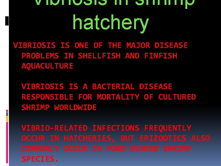 Vibriosis in shrimp hatchery VIBRIOSIS IS ONE OF