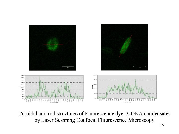 Intertwistingbend process in DNA condensation Prof Dr Xizeng