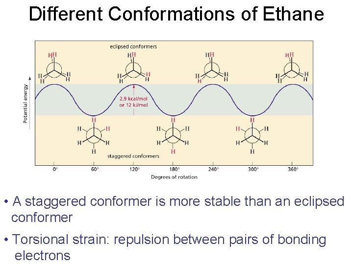 Chapter 2 An Introduction to Organic Compounds Conformations