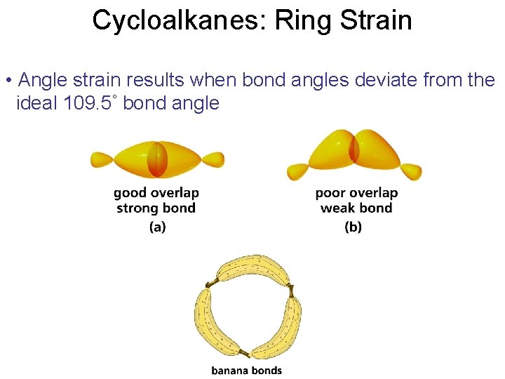 Chapter 2 An Introduction to Organic Compounds Conformations