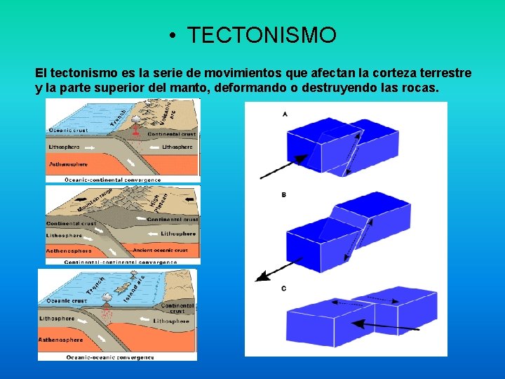 TEMA LITOSFERA TECTONICA DE PLACAS VULCANISMO Y SISMICIDAD