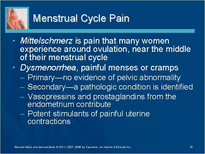 Chapter 11 The Nurses Role in Womens Health