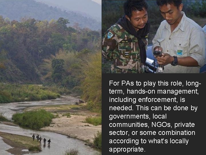 Wildlife crime and law enforcement in protected areas