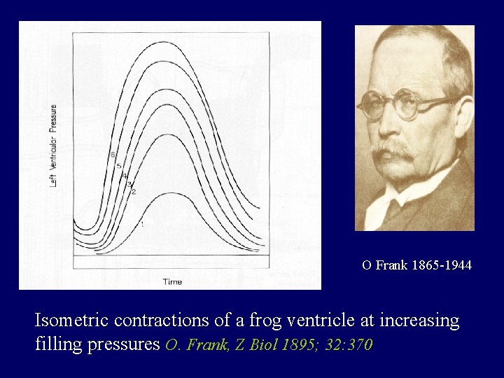 Working Group of Heart Failure and Cardiac Function