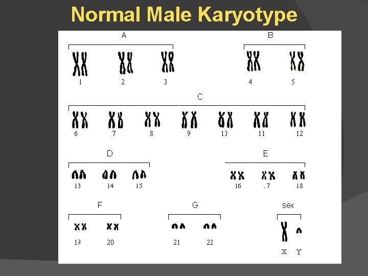 BIOLOGY UNDERSTANDING HUMAN GENETICS Chromosomes Every human cell