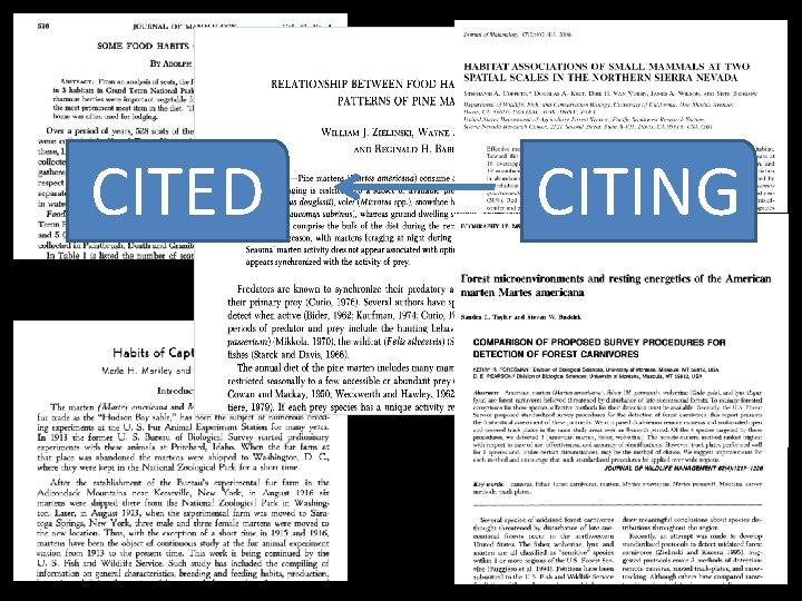 Questions for you Literature search lab come away