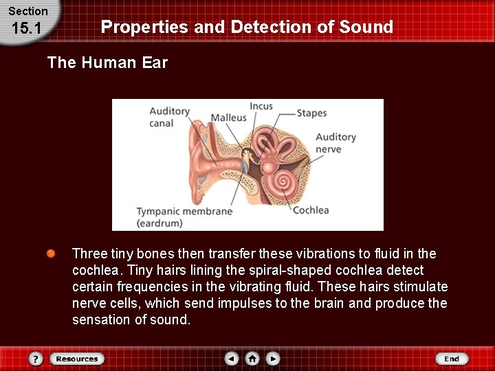 Section 15 1 Properties and Detection of Sound