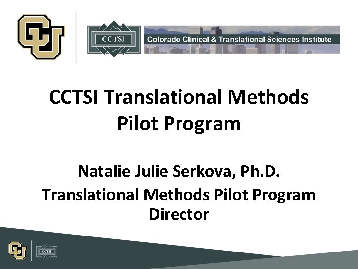 CCTSI Translational Methods Pilot Program Natalie Julie Serkova