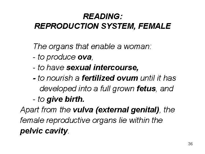 KKPMT IV SESI 6 TERMINOLOGI MEDIS FEMALE REPRODUCTIVE